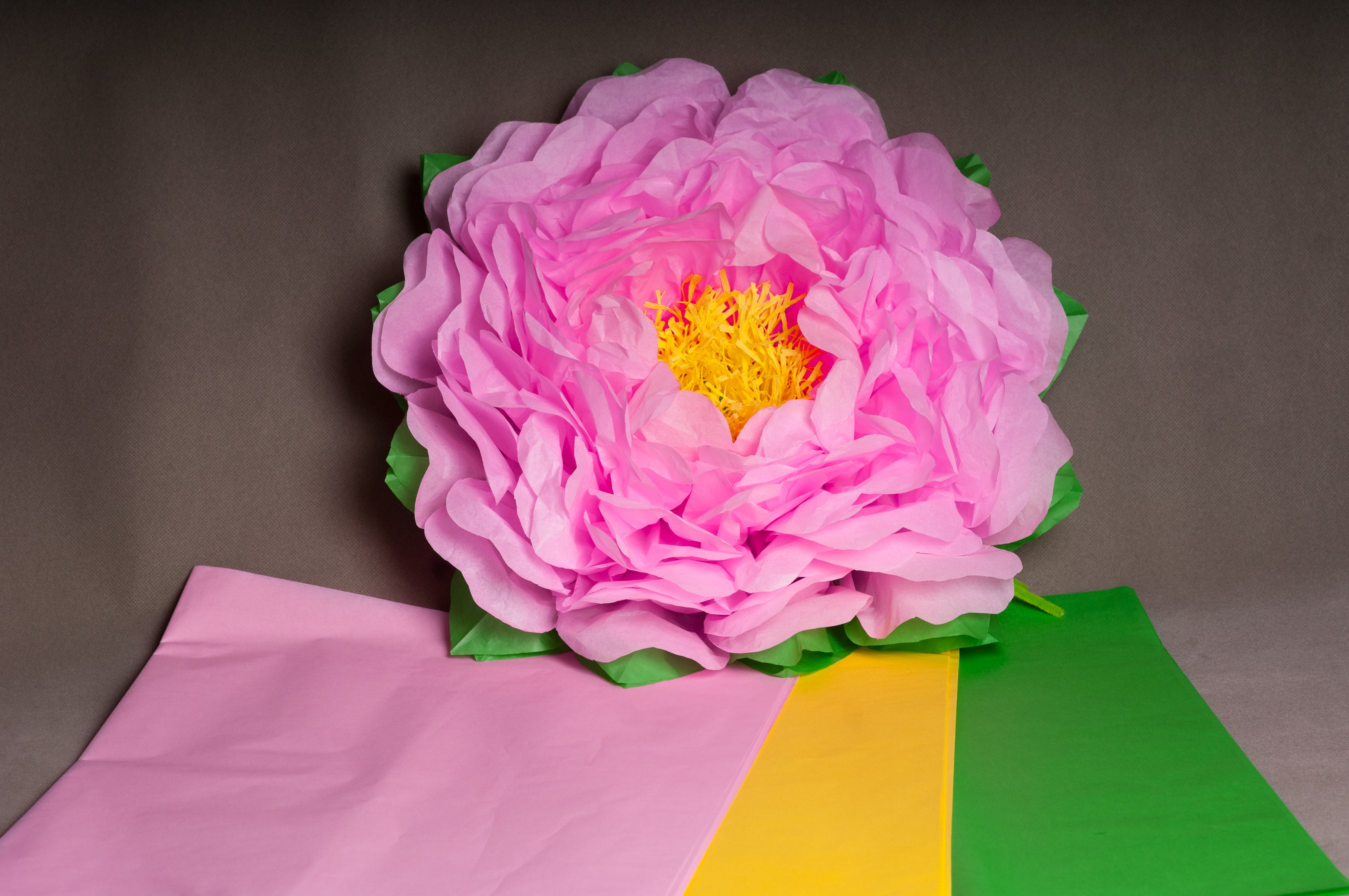 Crepe & Tissue Paper in Australia — Flowers With a Secret