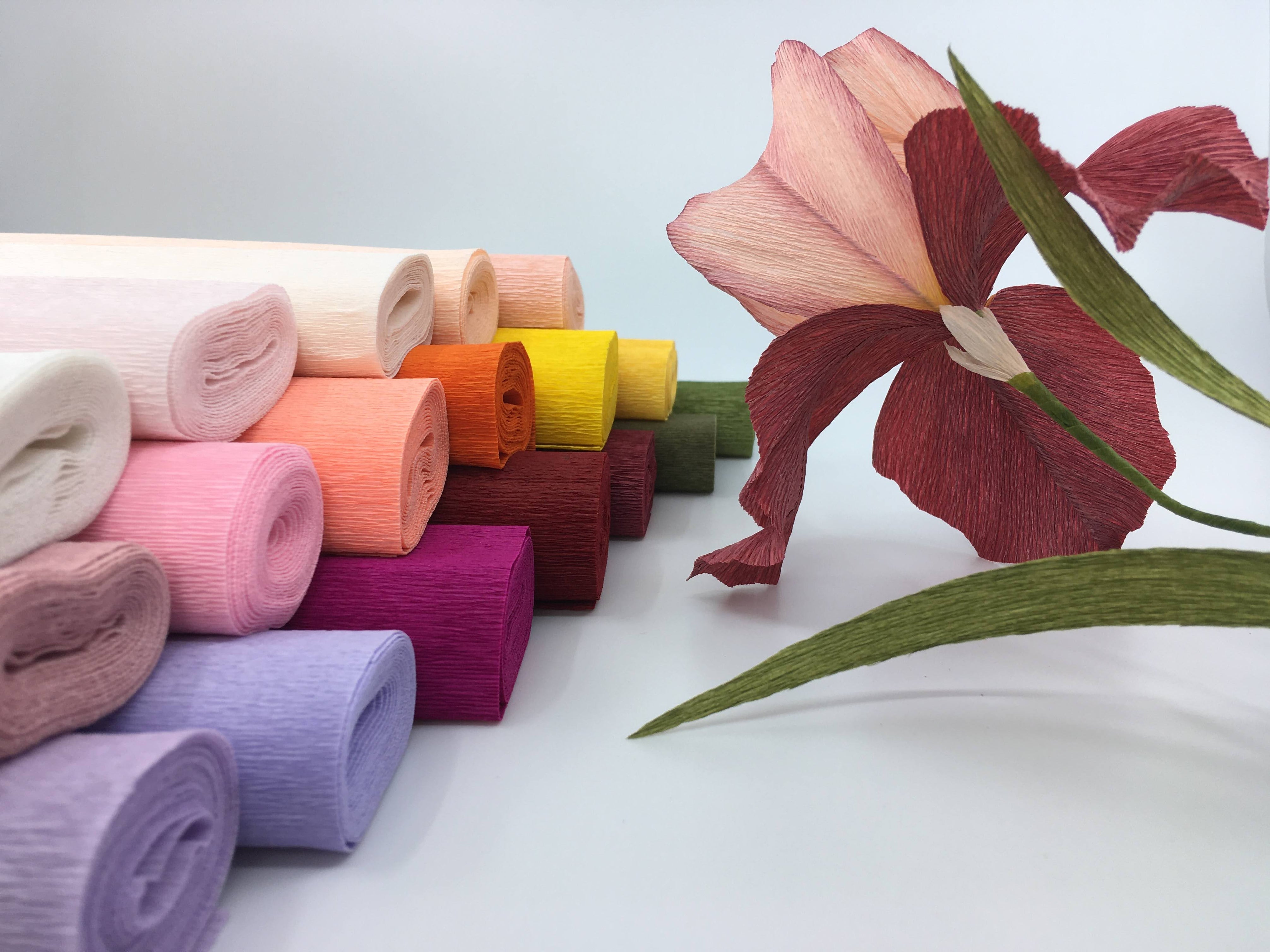 Crepe & Tissue Paper in Australia — Flowers With a Secret